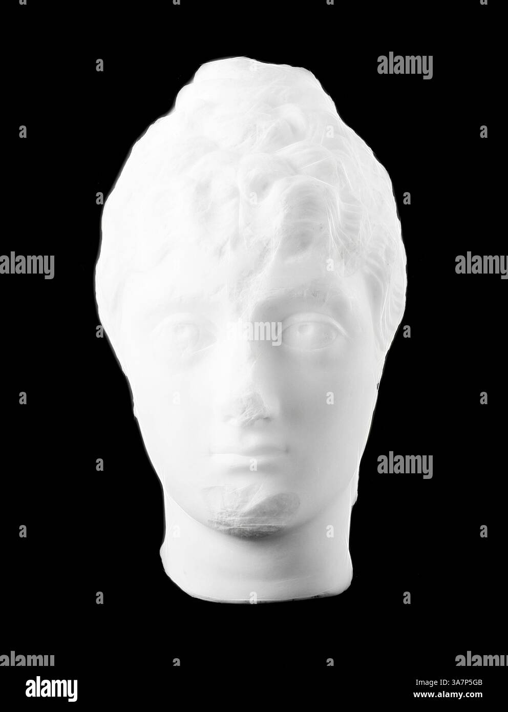 A classical sculpture of a male head, featuring detailed hair and ...