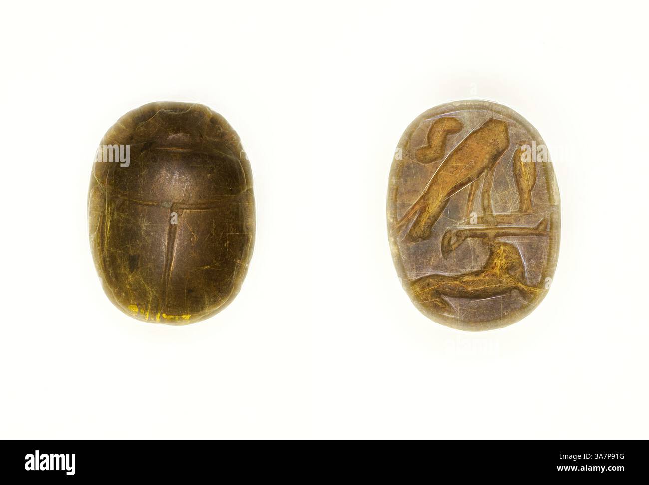 Prominent scarab beetle design hi-res stock photography and images - Alamy