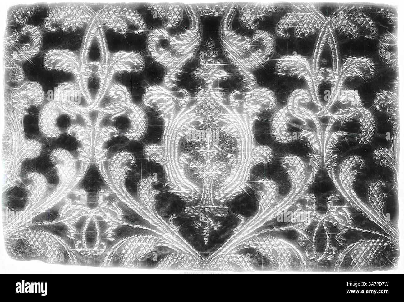 A detailed pattern featuring intricate floral and leaf designs ...