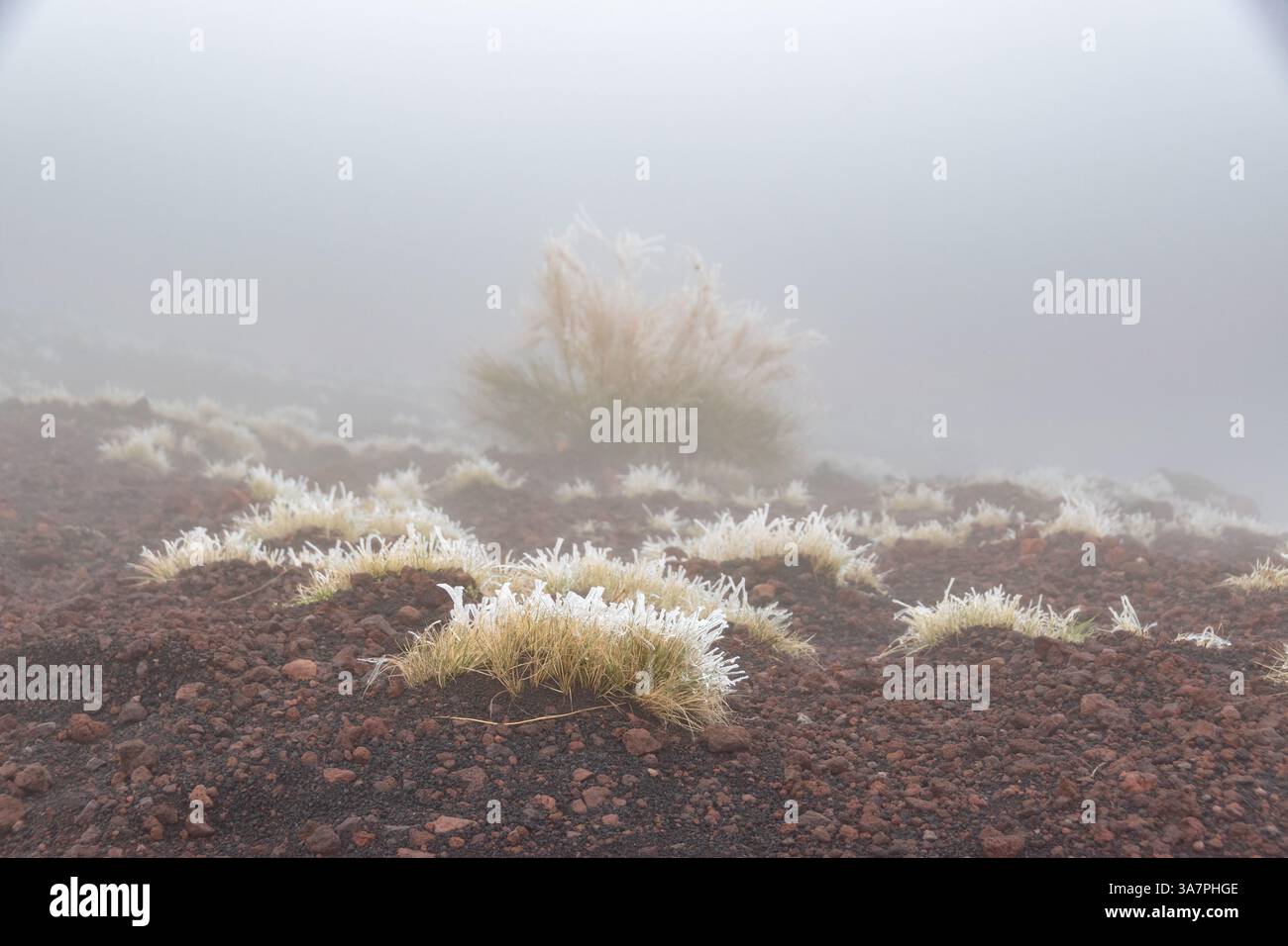 Un día de niebla y hielo en el Parque del Etna, Sicilia, Italia Stock ...