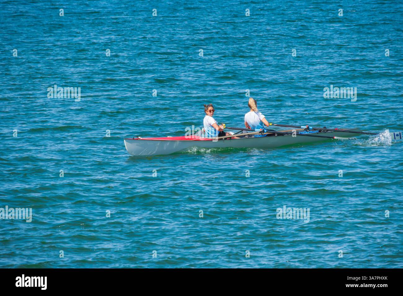 Two individuals propel their double scull rowing boat across the wavy ...