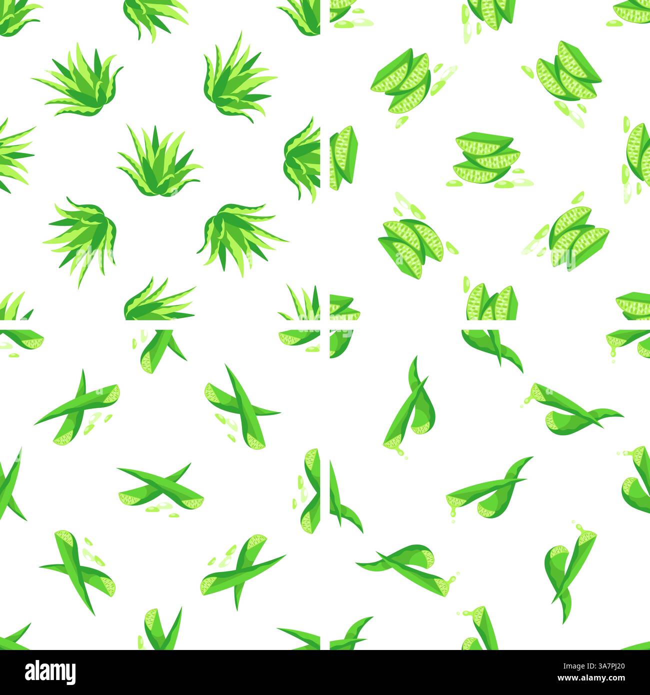 Seamless pattern of aloe vera plant and slices dripping with juice on ...