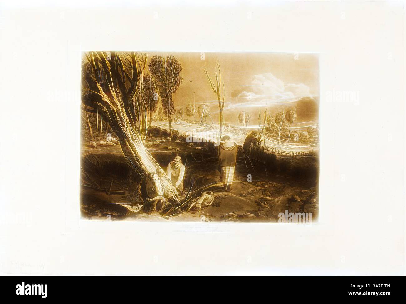 Serene peaceful scene displays lush hi-res stock photography and images ...