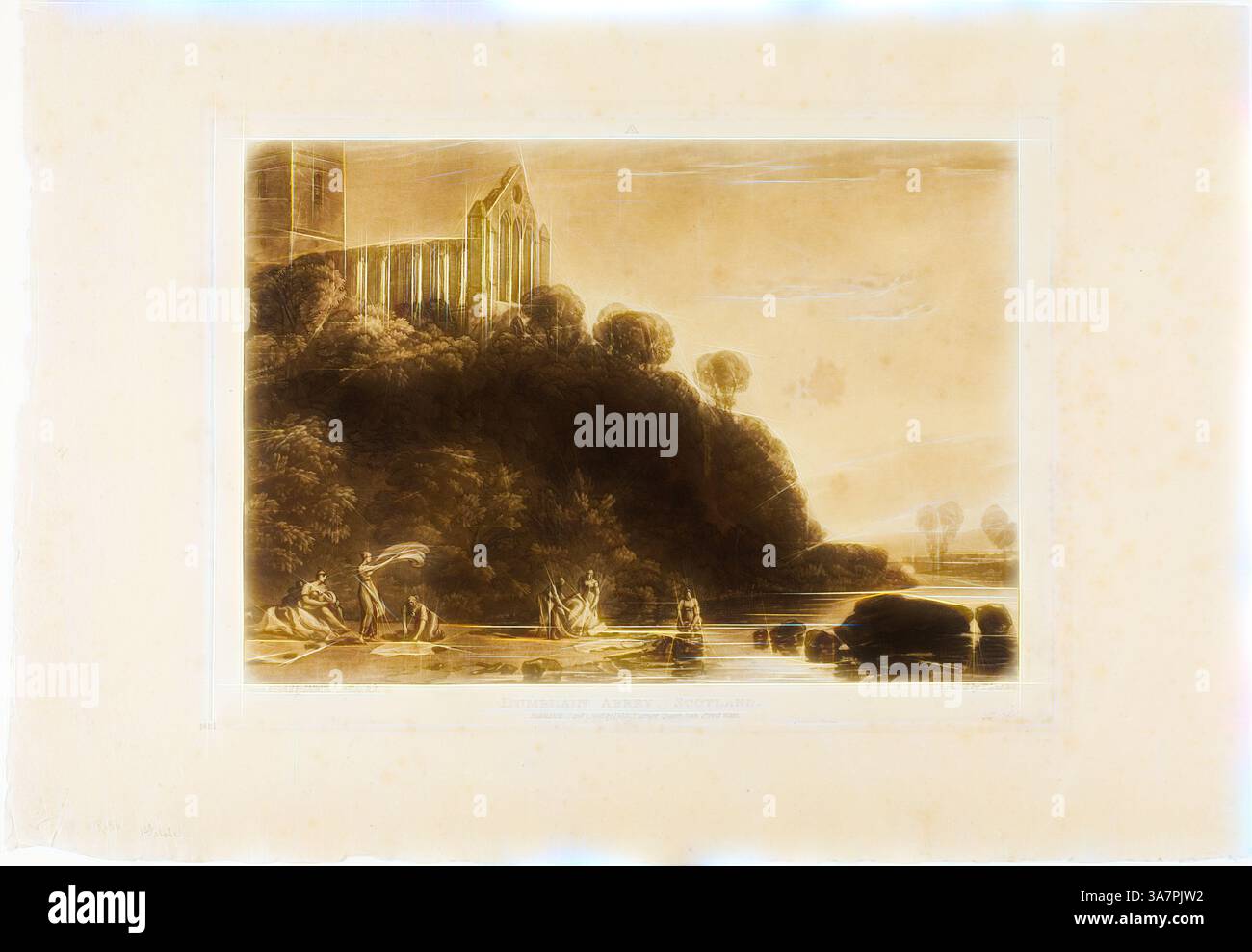 Rounded trees punctuate hi-res stock photography and images - Alamy