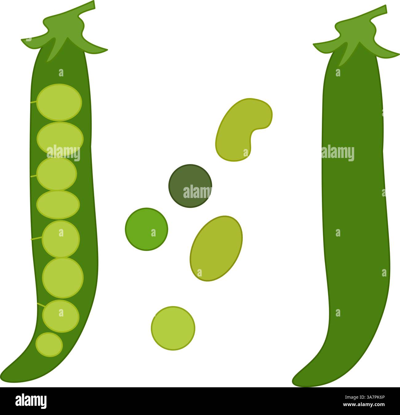 Green peas pod color icon. Vector flat green Natural food isolated on ...
