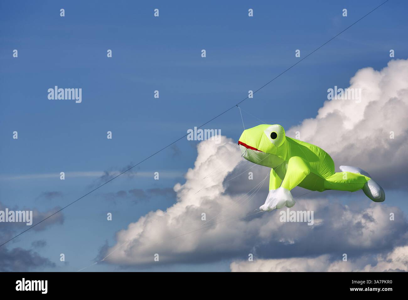 Kite flying in the sky, frog, kite festival in Vinsebeck, Cumulus, copy ...