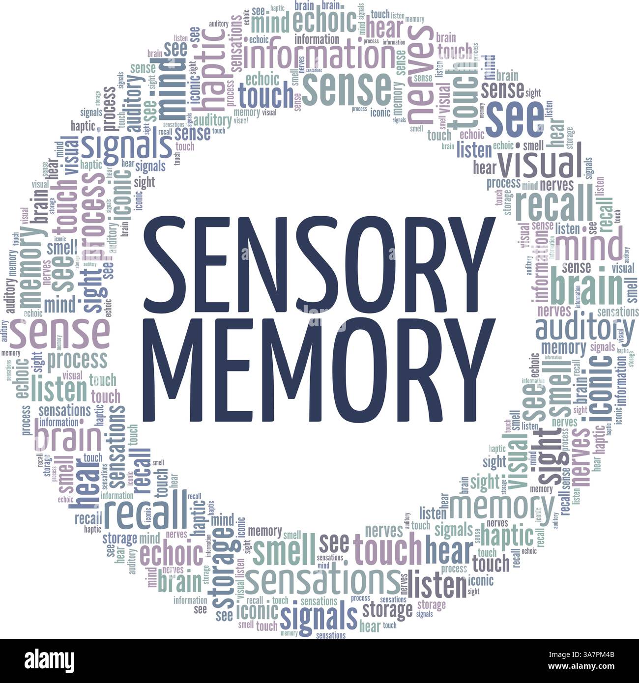 Sensory Memory vector illustration word cloud isolated on white ...