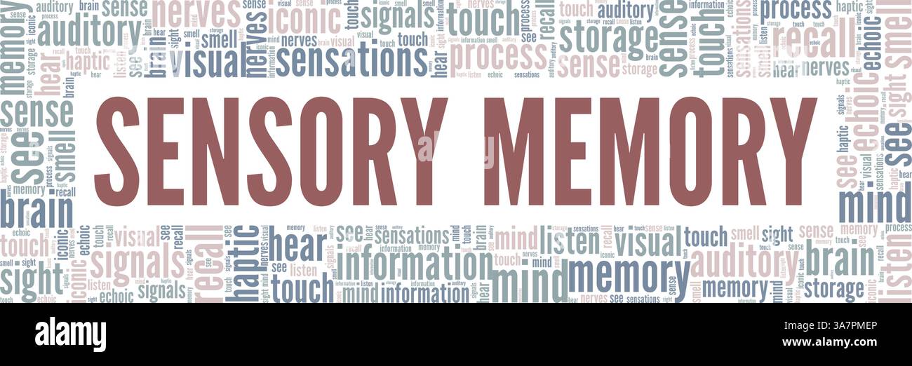 Sensory Memory vector illustration word cloud isolated on white ...