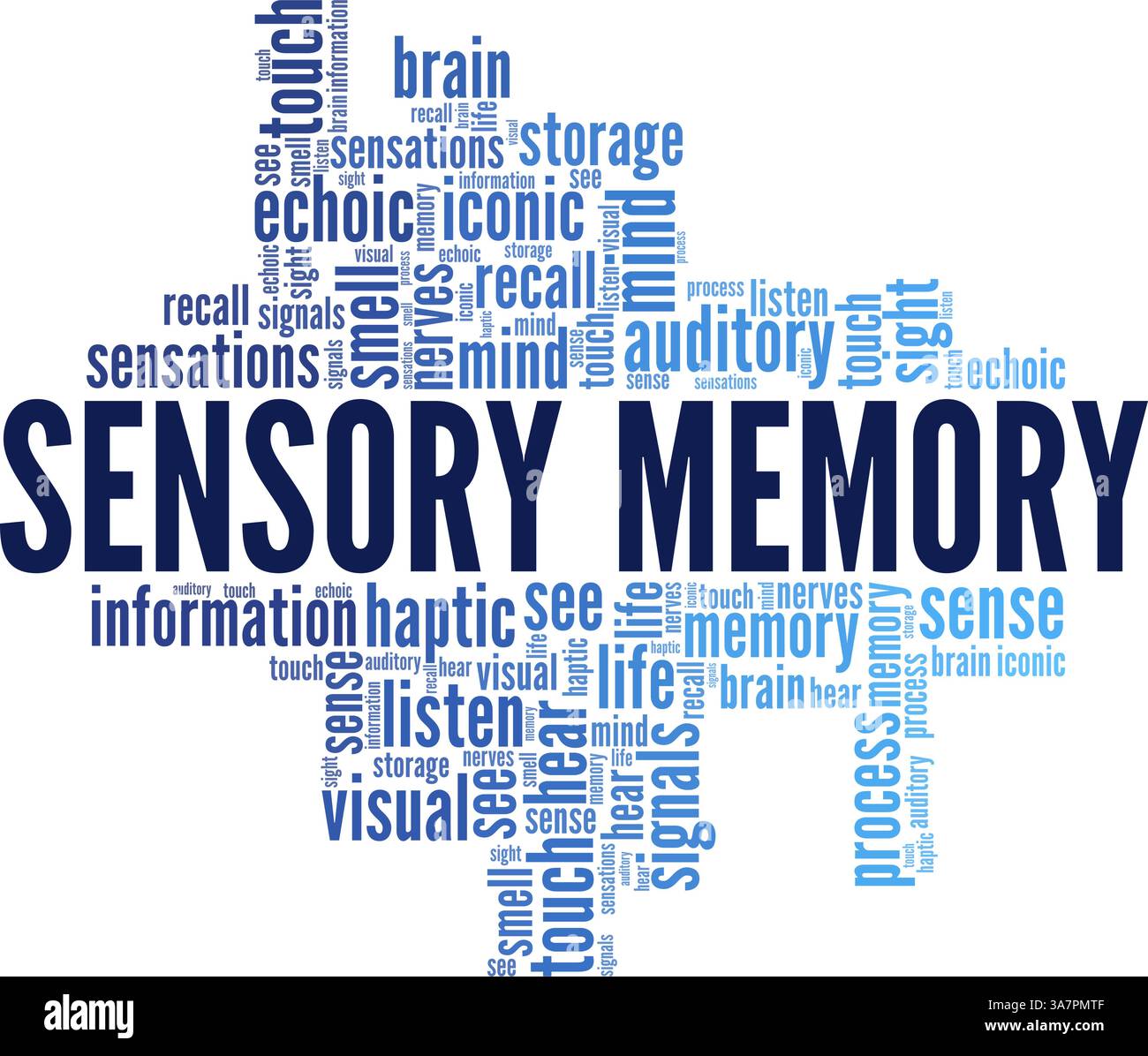 Sensory Memory vector illustration word cloud isolated on white background Stock Vector Image ...