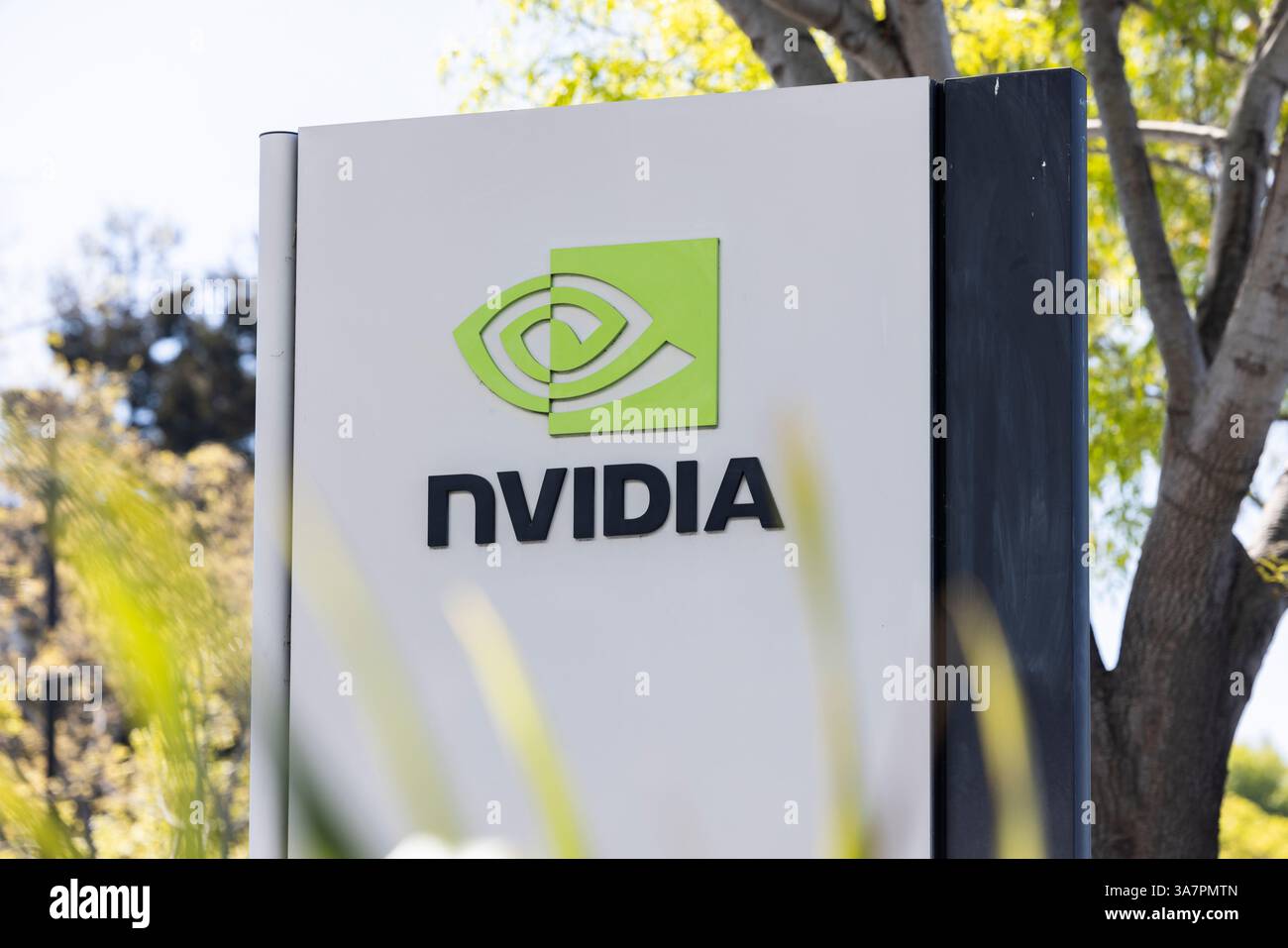 Santa Clara, California, USA - March 24, 2025: An NVIDIA logo decorates ...