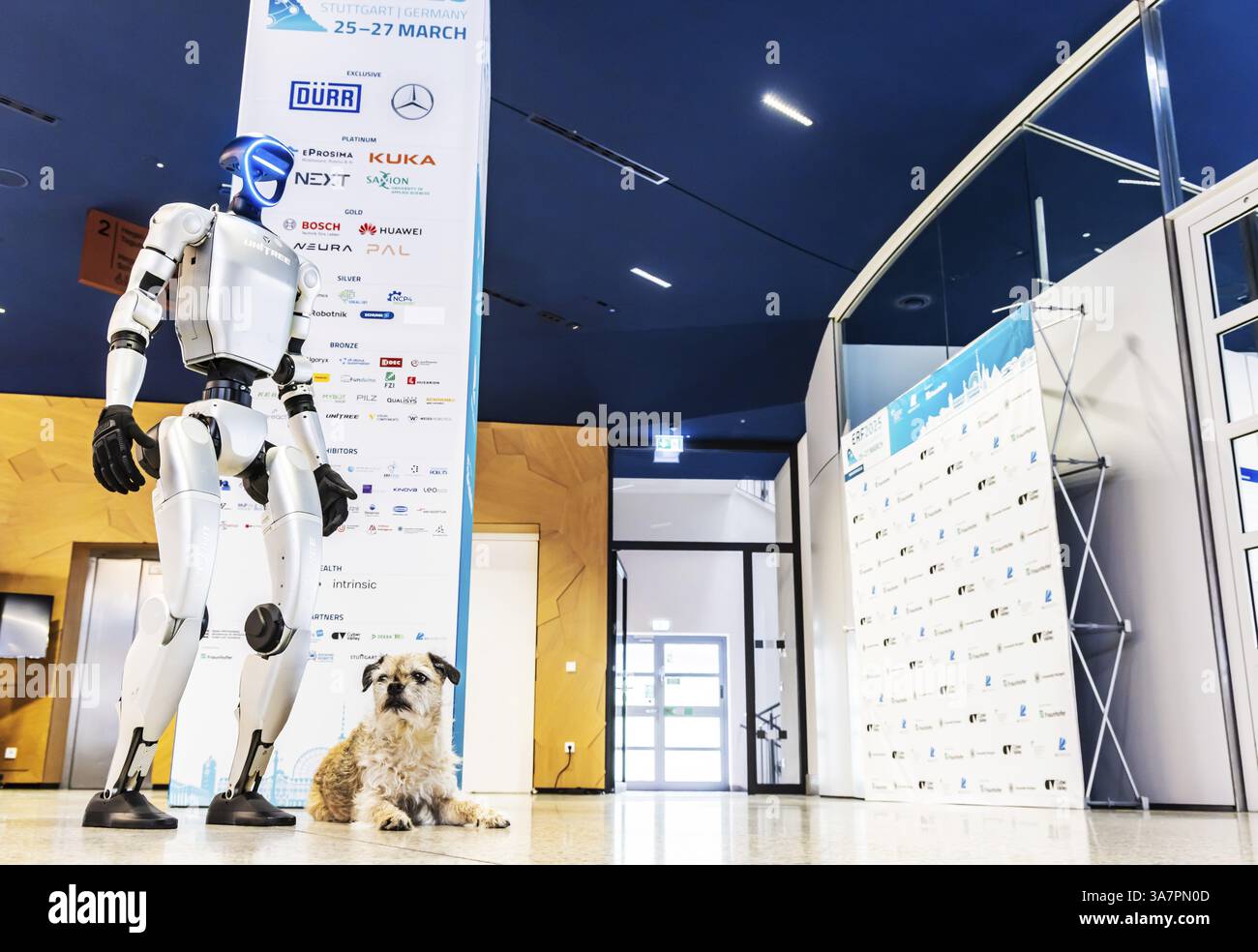 Unitree H1, H1-2, the first humanoid robot from the Chinese company ...
