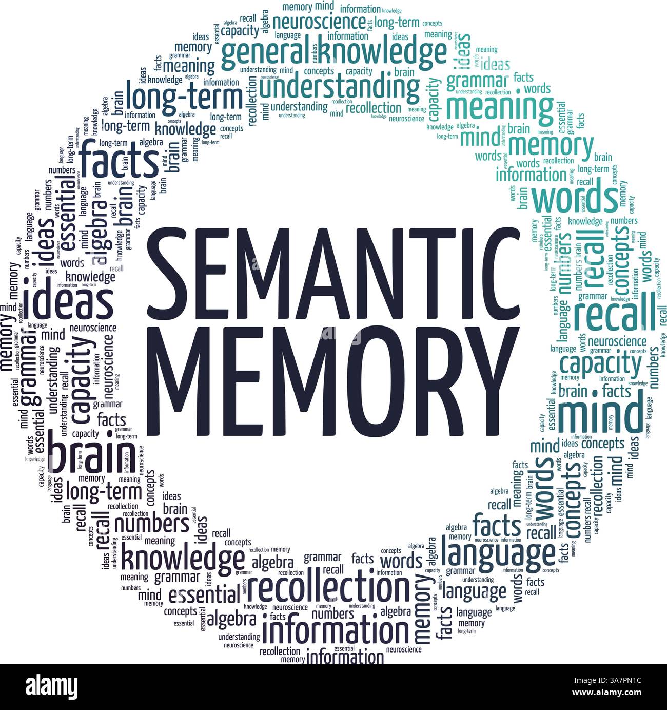Semantic Memory vector illustration word cloud isolated on white background Stock Vector Image ...