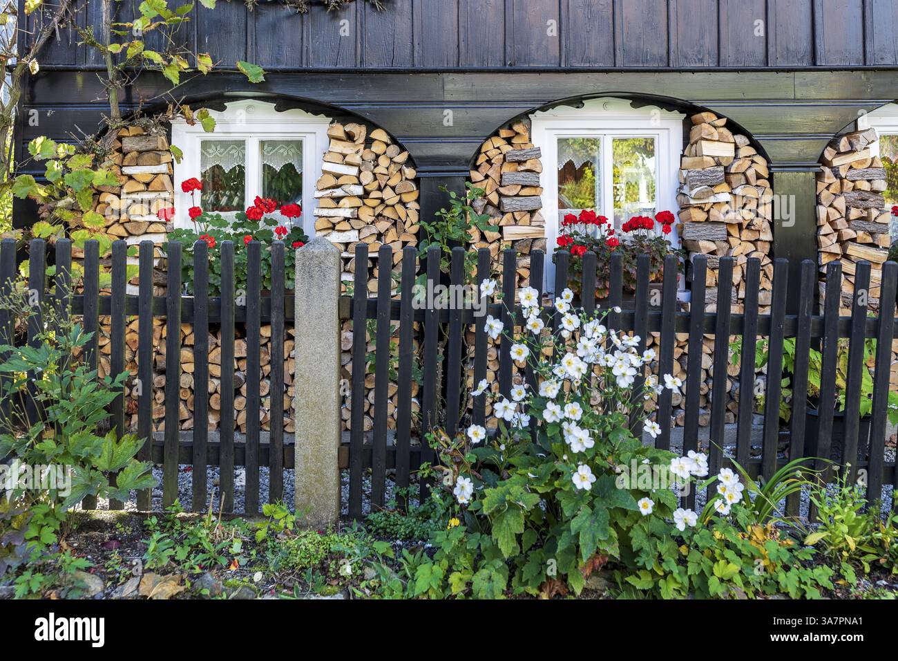 Logs stacked around the windows, in front of a wooden fence and flowers ...