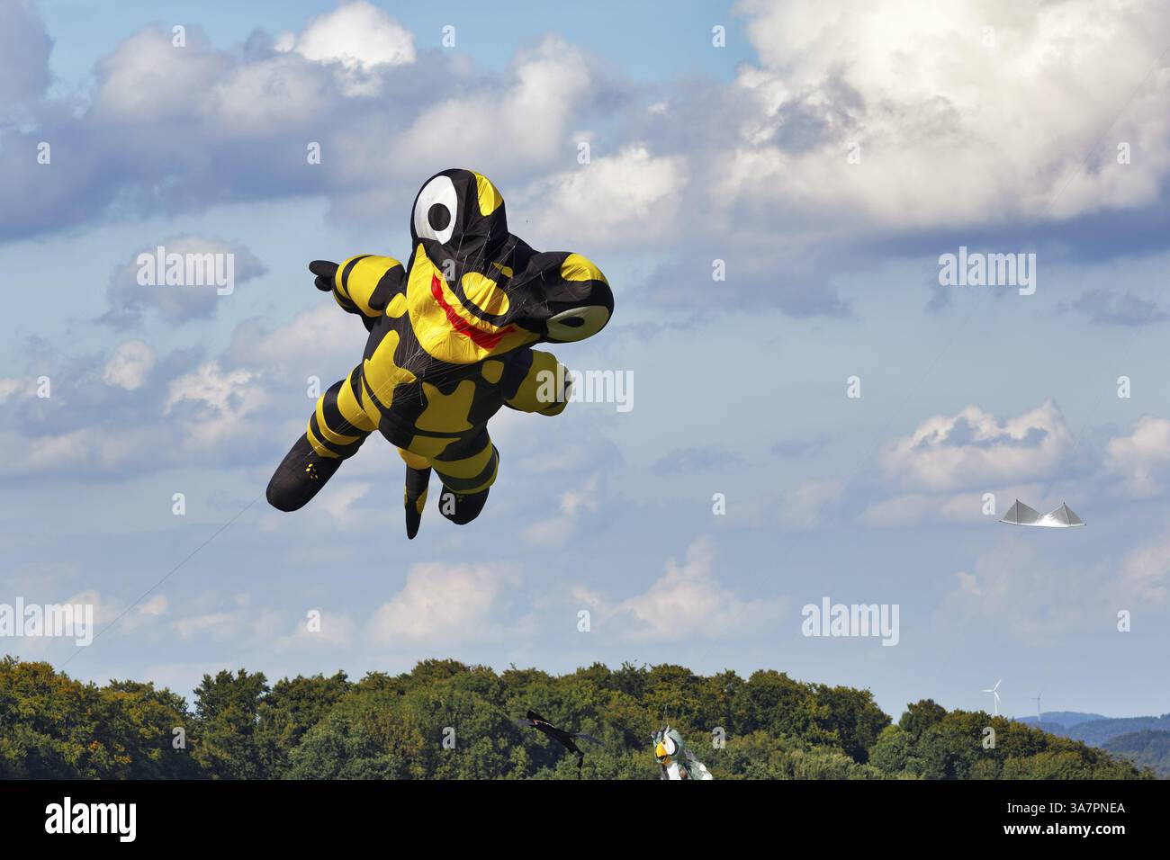 Kites, Salamander flies in the sky, kite festival in Vinsebeck ...