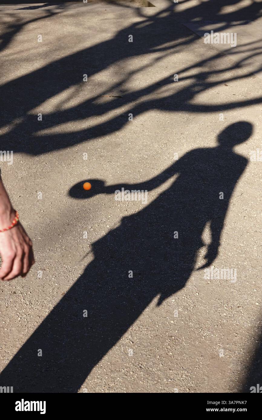 Table tennis, shadow of a player, Germany, Europe Stock Photo - Alamy