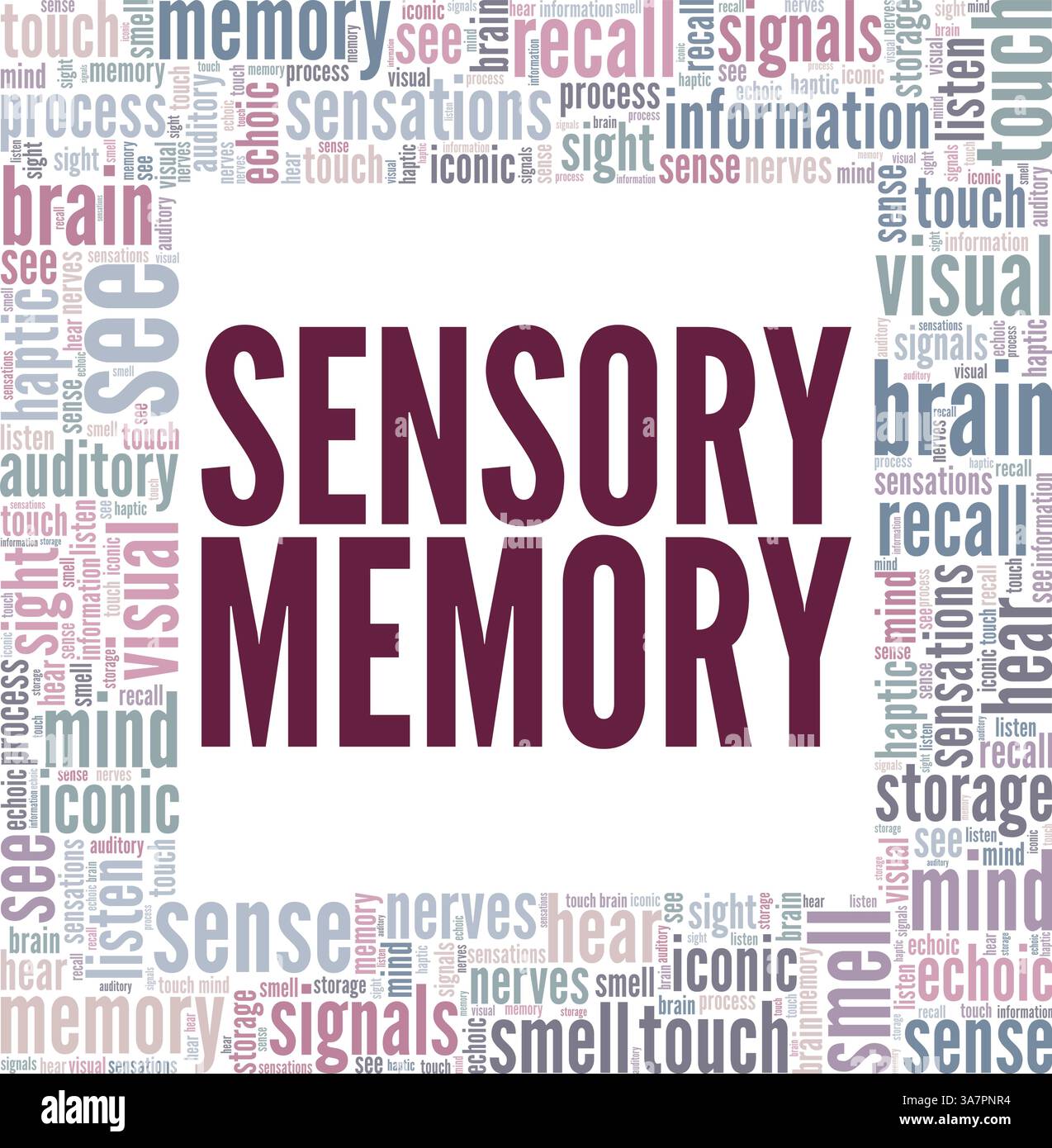 Sensory Memory vector illustration word cloud isolated on white ...