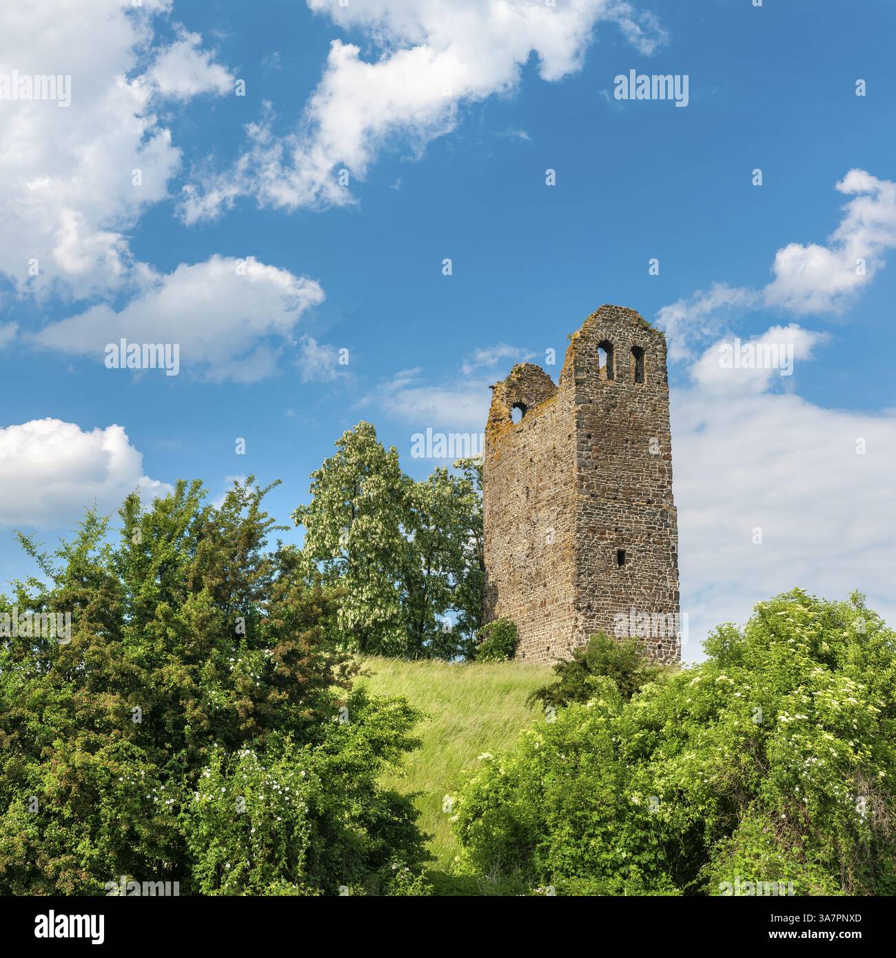 Deserted village of Nordhusen, ruins of the Romanesque village church ...