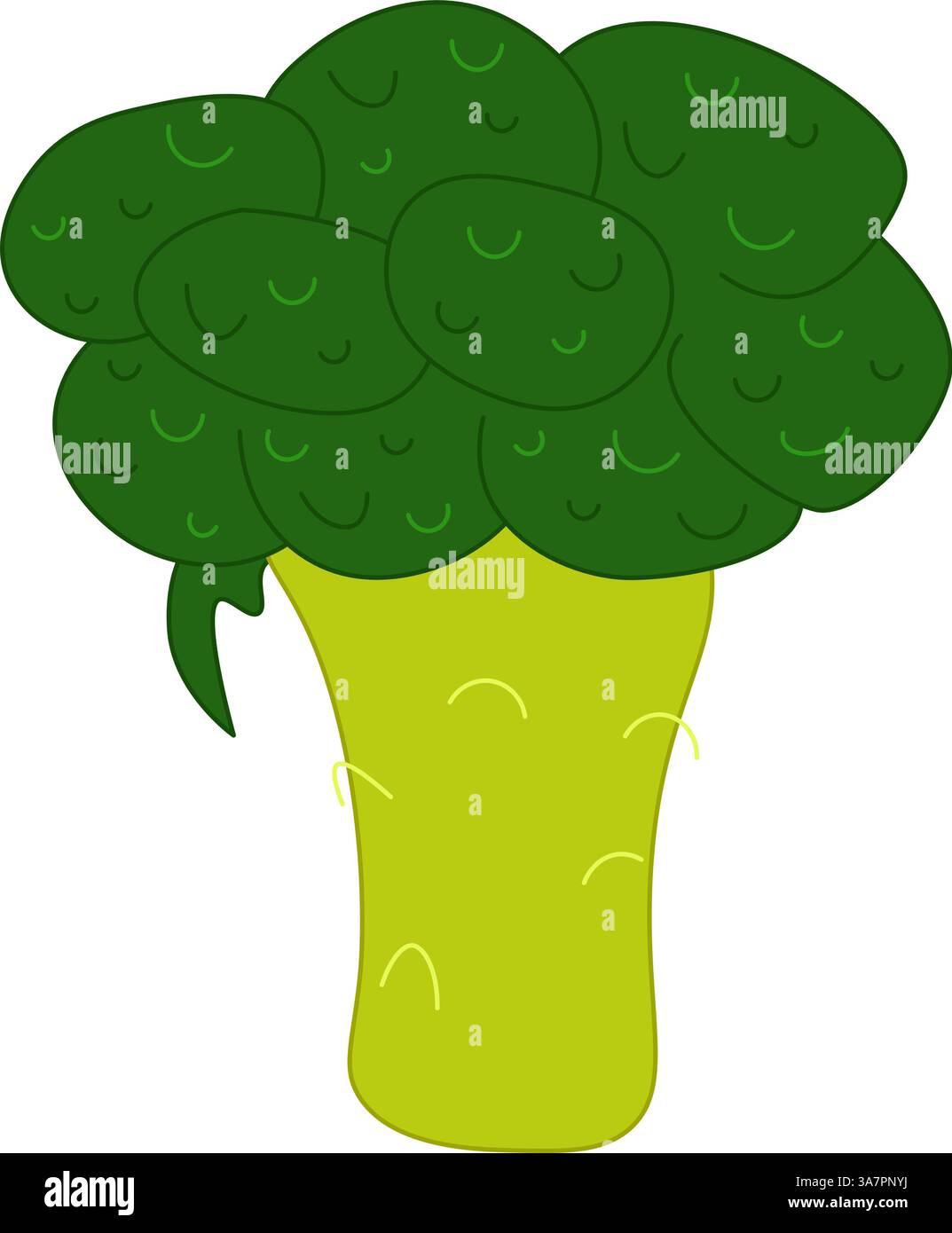 Fresh Vegetable broccoli isolated icon. broccoli for farm market ...