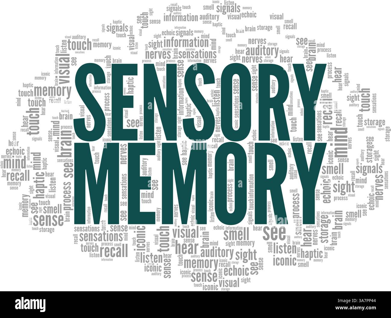 Sensory Memory vector illustration word cloud isolated on white ...