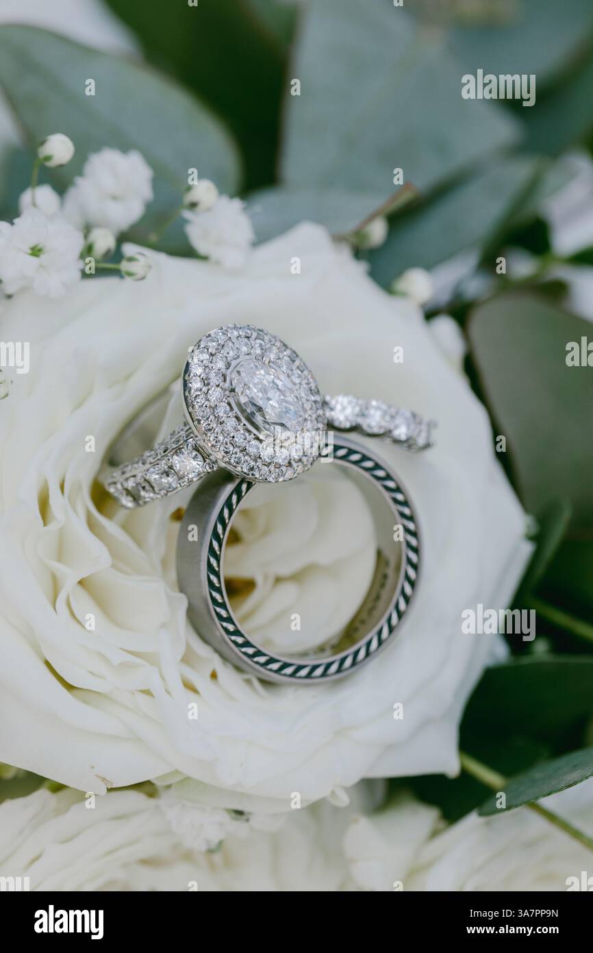 Two beautiful wedding rings on a white rose with soft greenery create a ...