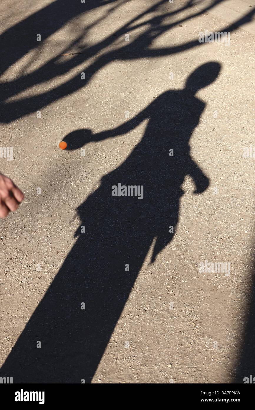 Table tennis, shadow of a player, Germany, Europe Stock Photo - Alamy