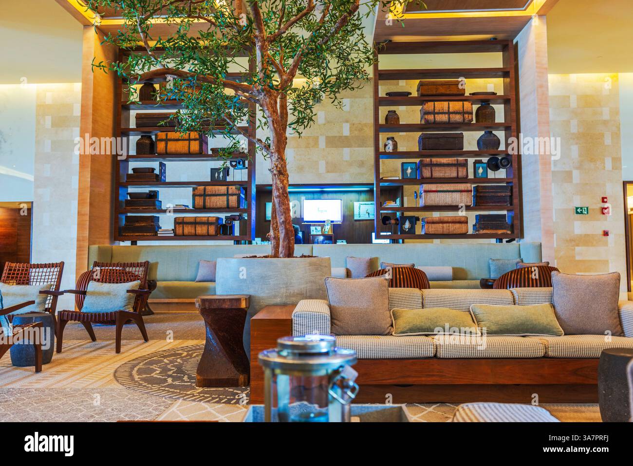 Modern hotel lobby with indoor tree, cozy sofas and decorative wooden ...