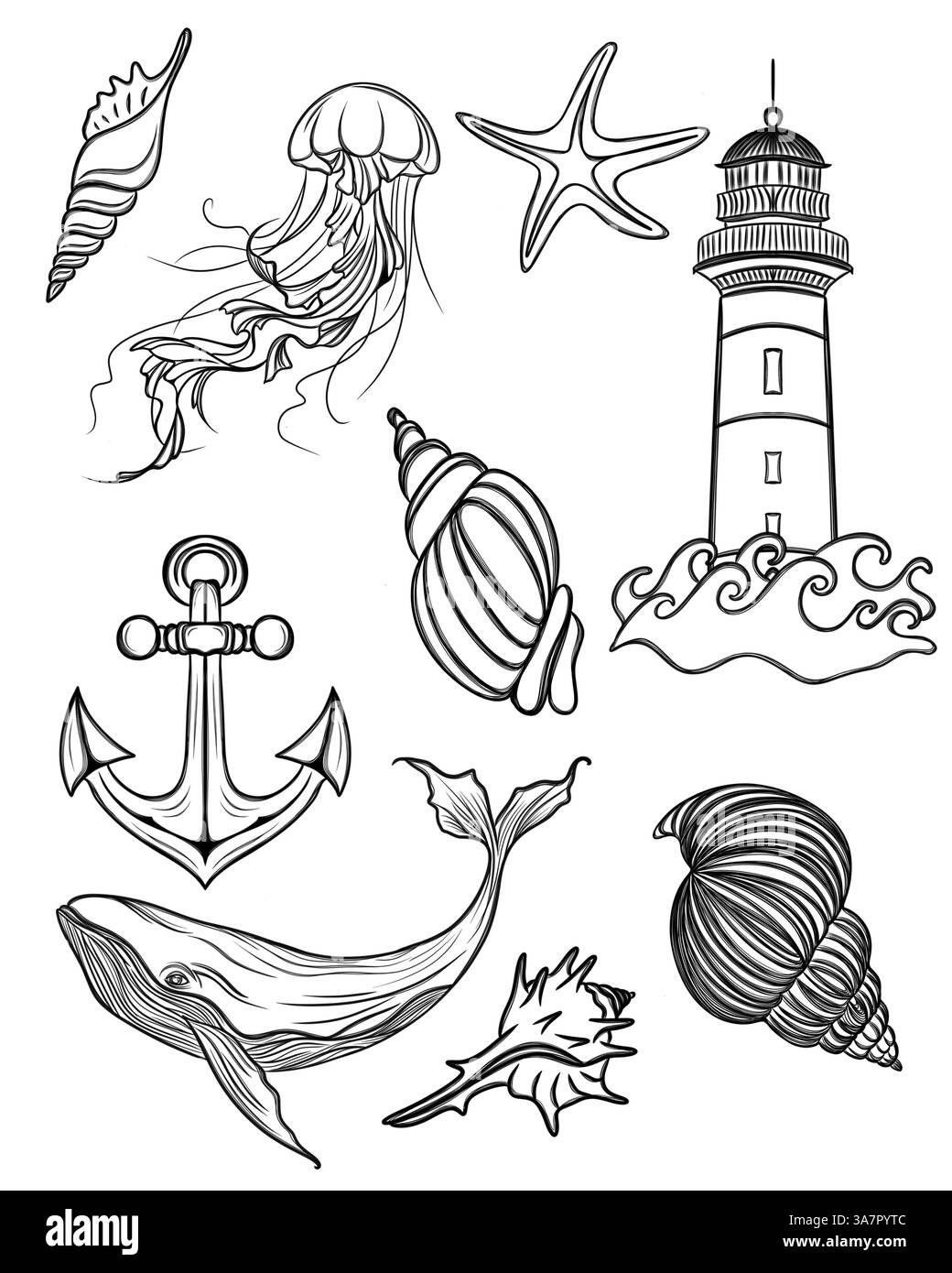 Large set of beautiful marine stickers - detailed Line Art design ...