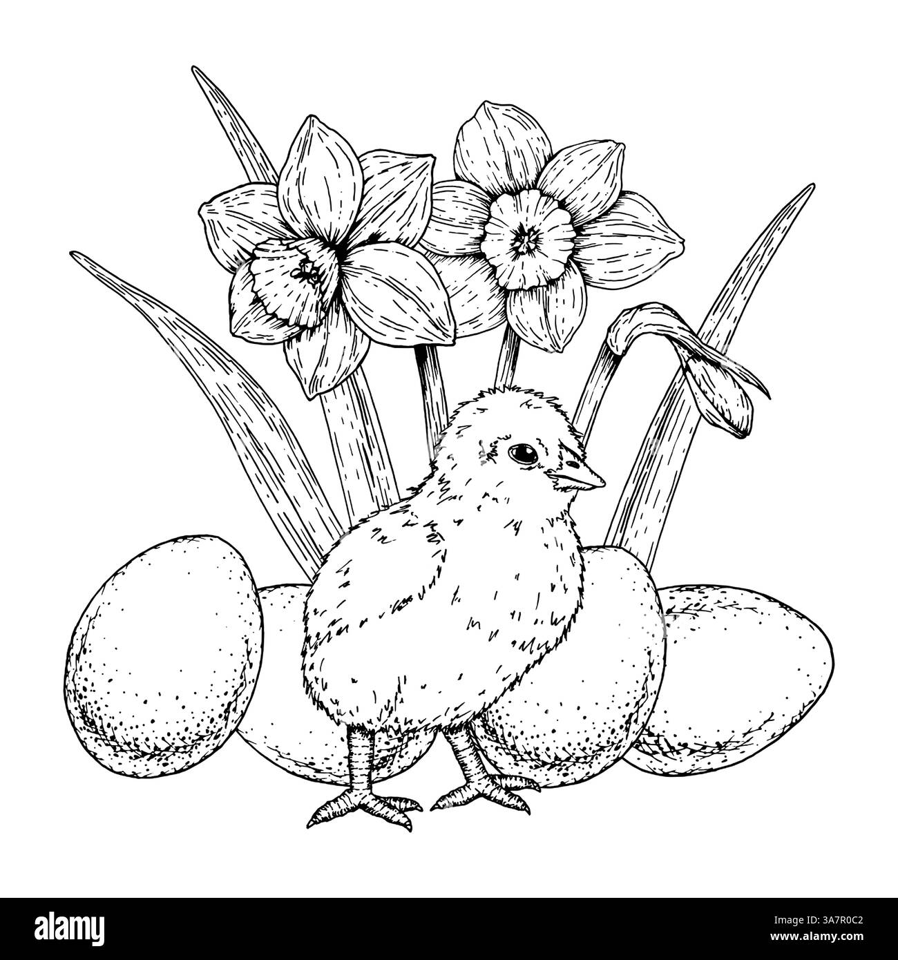Hand drawn chick standing among Easter eggs and blooming daffodils ...