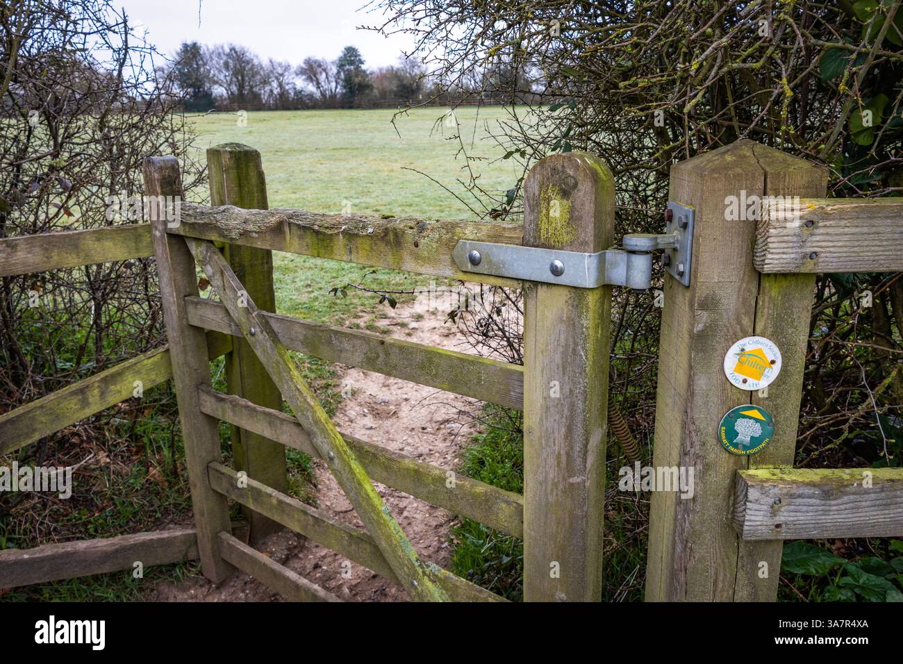 Chiltern Way walk for ramblers and walkers in the countryside in the ...
