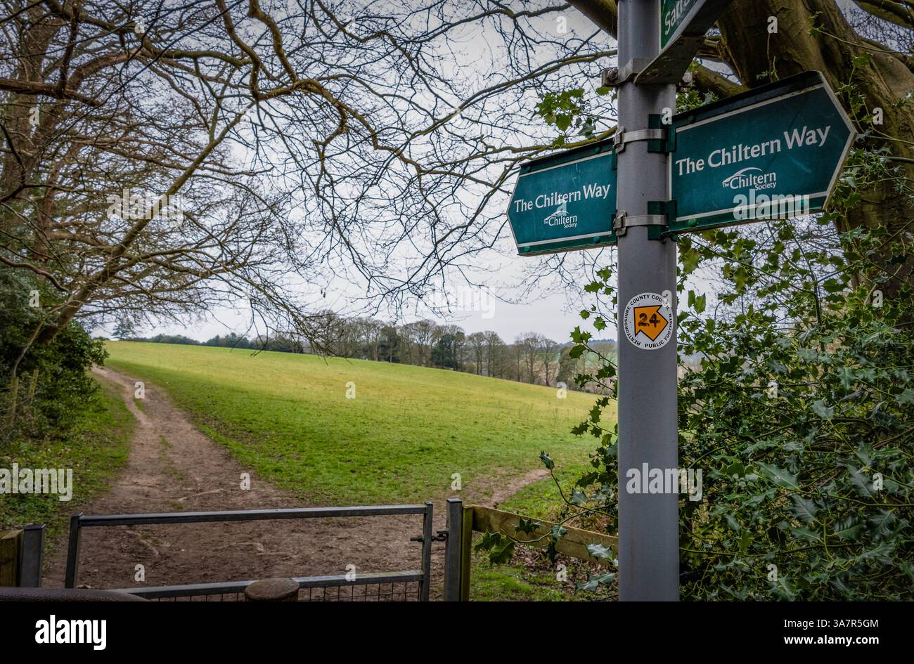 Chiltern Way walk for ramblers and walkers in the countryside in the ...