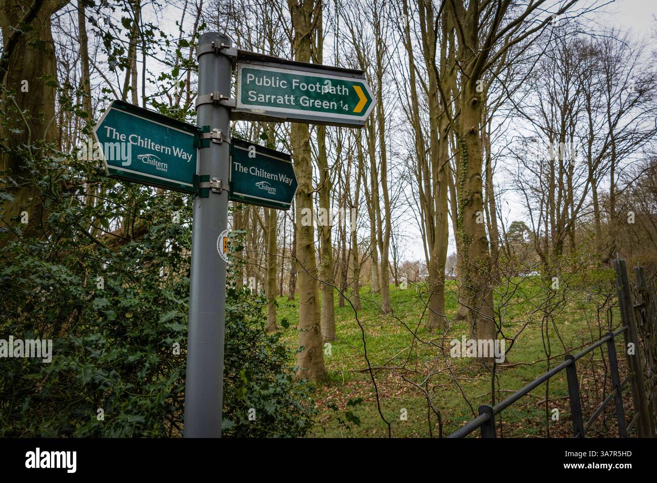 Chiltern Way walk for ramblers and walkers in the countryside in the ...