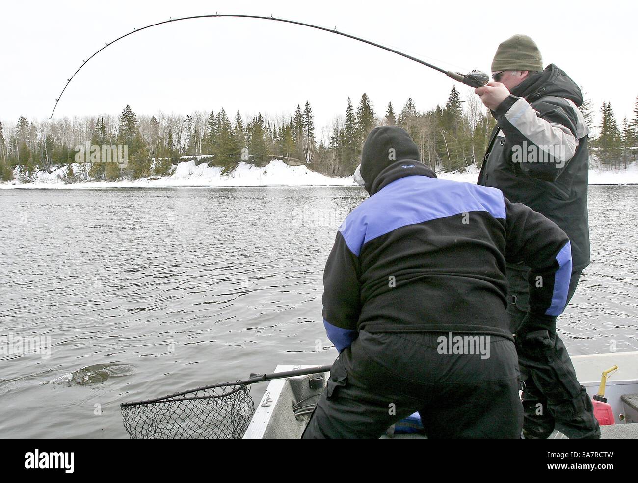 April 10, 2013 - Baudette, MN, USA - Mark Koivula, of Duluth, plays a ...