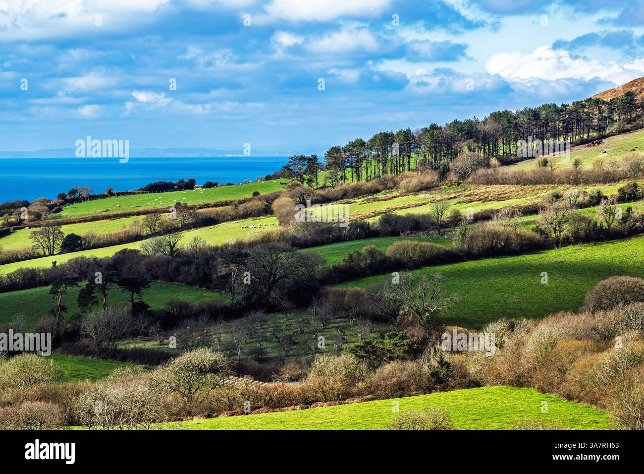 Farms over Dorset, England Stock Photo - Alamy