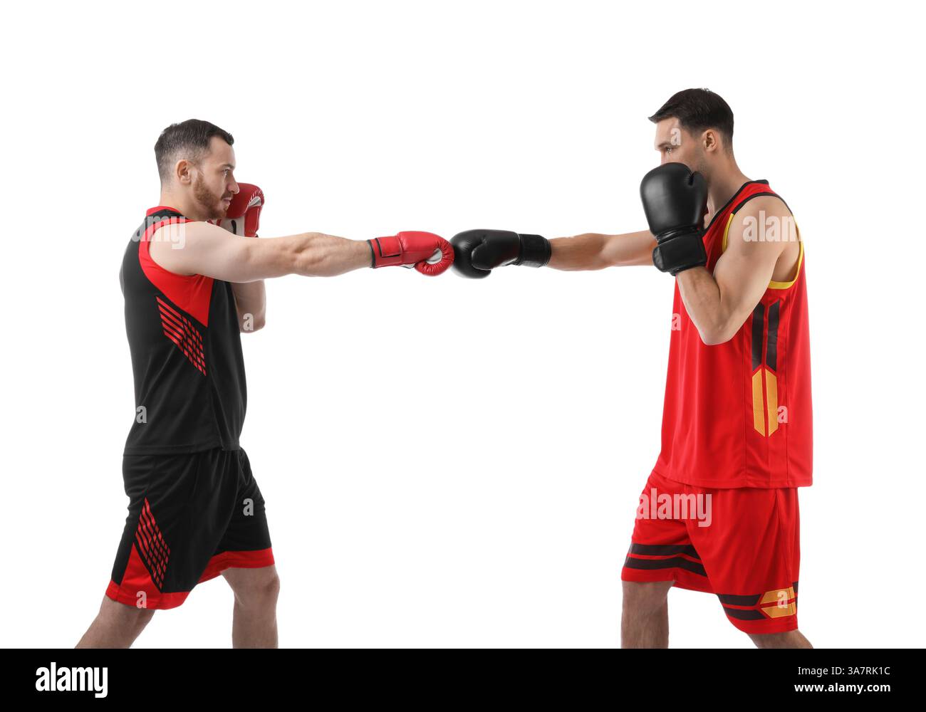 Men in boxing gloves fighting on white background Stock Photo - Alamy