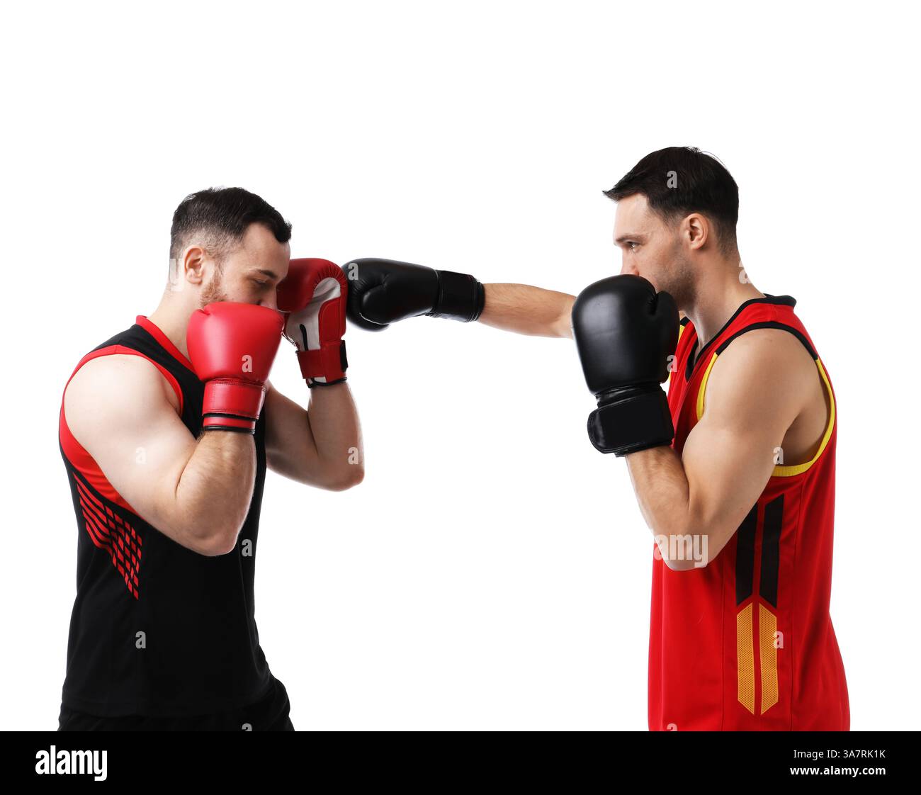 Men in boxing gloves fighting on white background Stock Photo - Alamy
