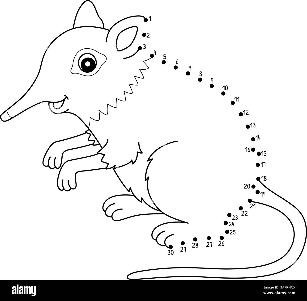 Dot to Dot Elephant Shrew Animal Isolated Coloring Stock Vector Image & Art - Alamy