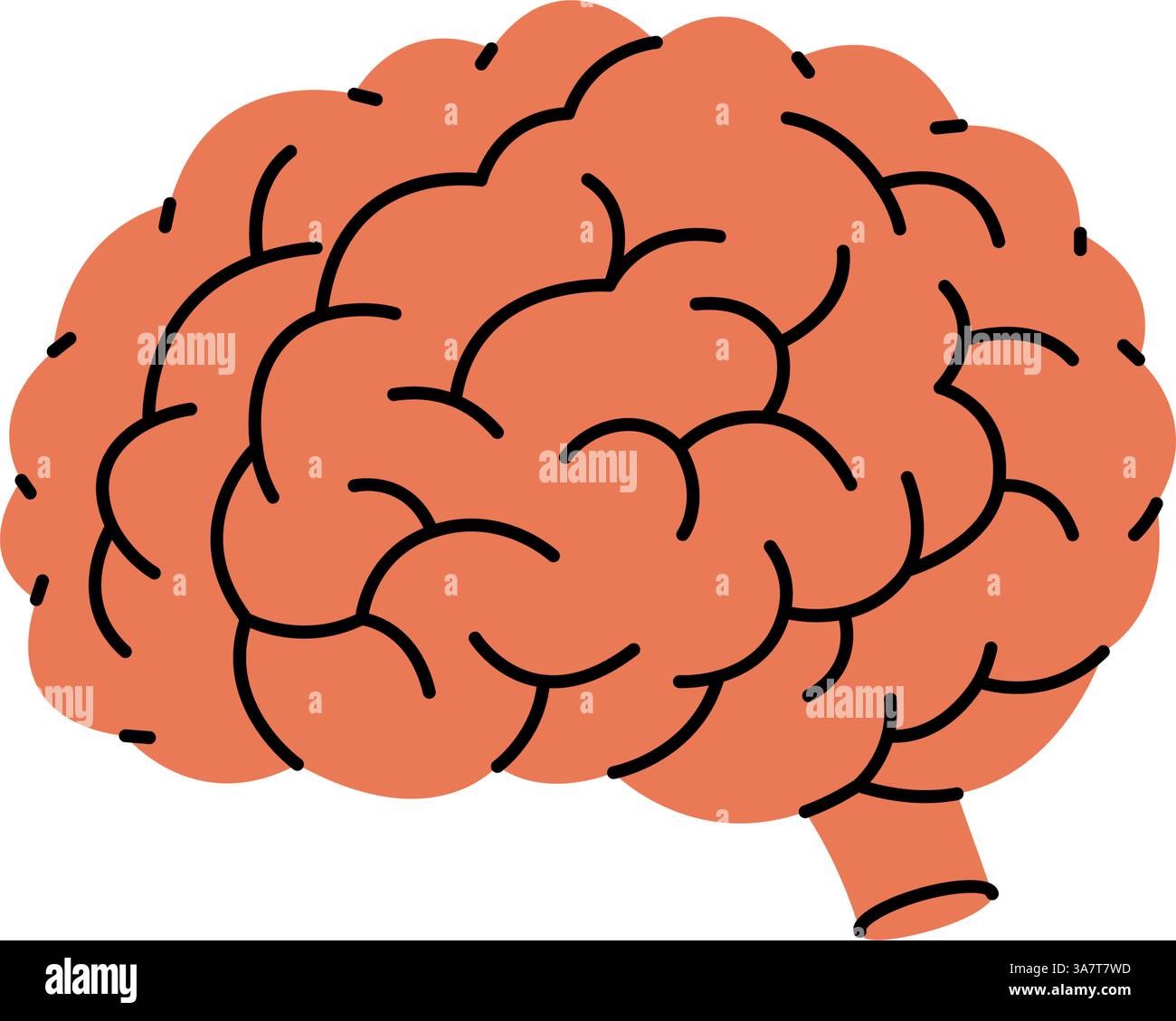Brain. Human internal organ. Vector illustration Stock Vector Image ...