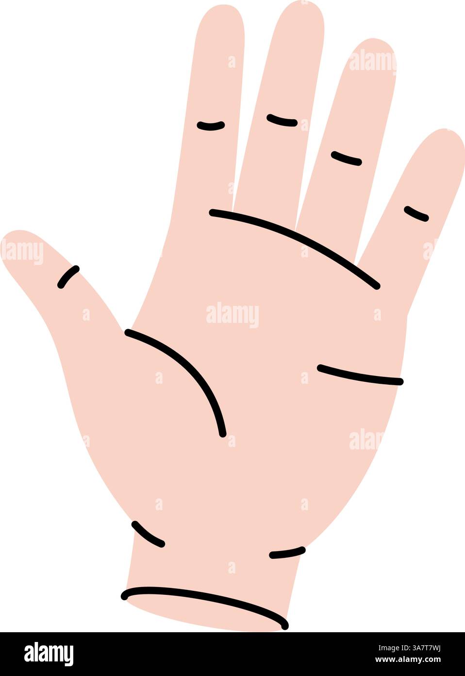 Hand. Human internal organ. Vector illustration Stock Vector Image ...