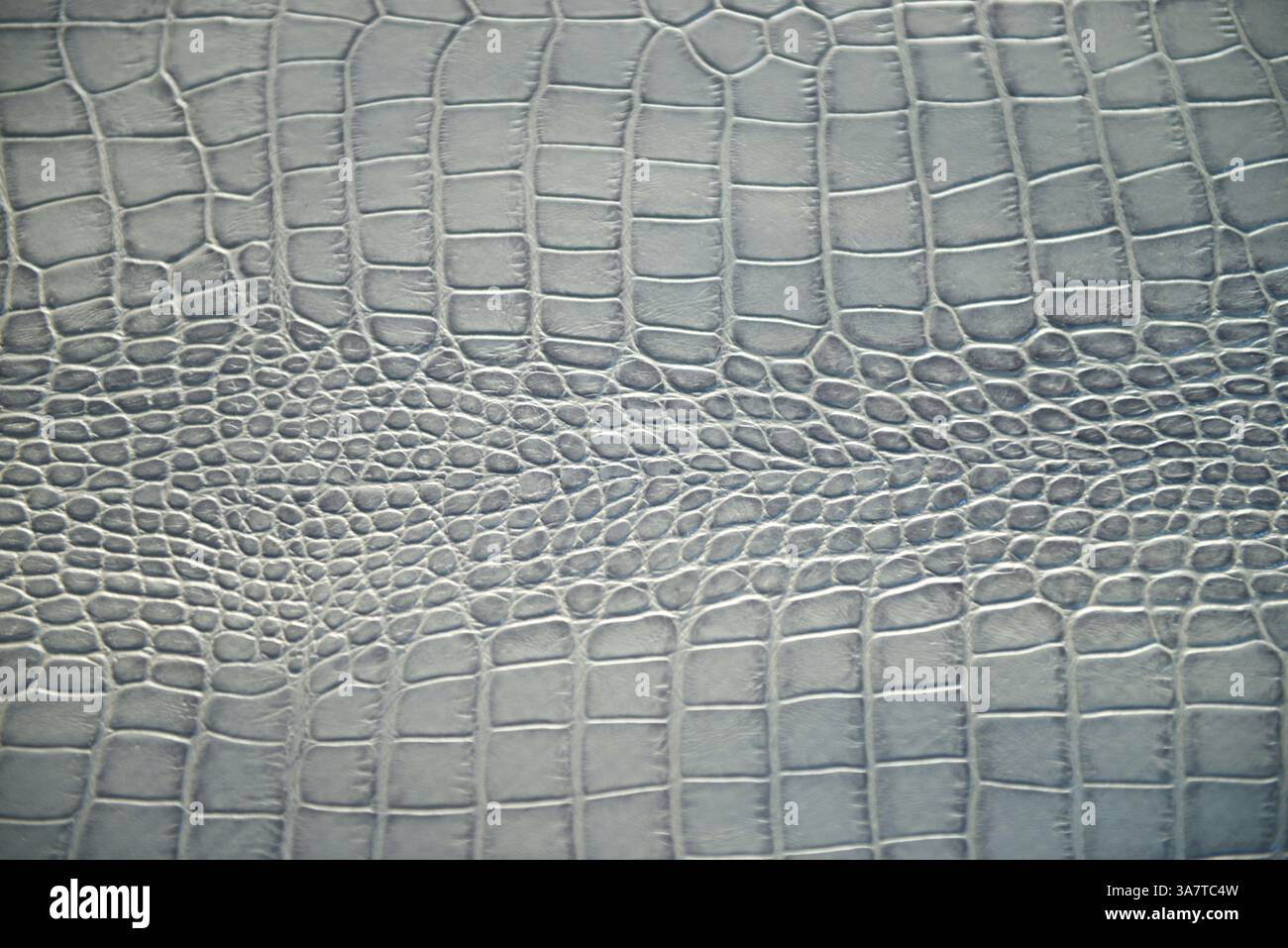 Crocodile Skin Leather Texture in grey color Stock Photo - Alamy
