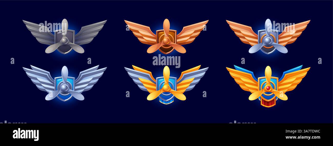 Military aviation level medal, game rank badge with metallic plane ...