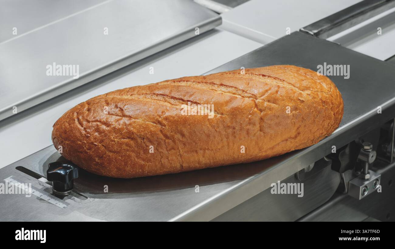 A long loaf of bread is sitting on a conveyor belt. The bread is brown ...