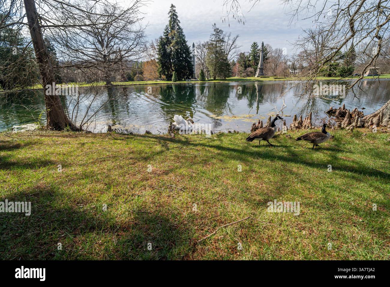 Spring Grove 2025 Stock Photo - Alamy