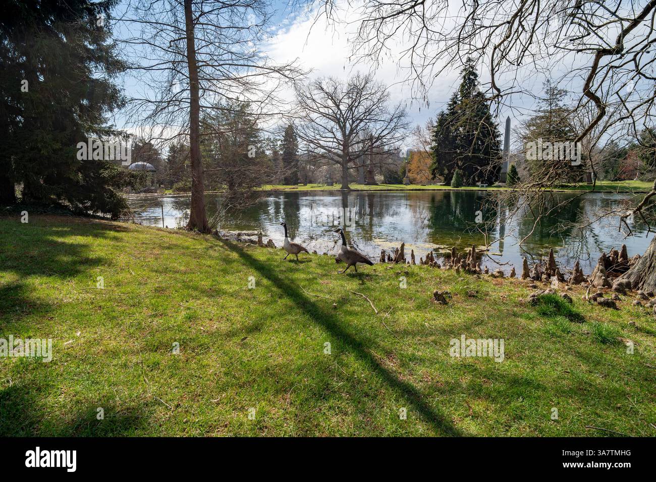 Spring Grove 2025 Stock Photo - Alamy