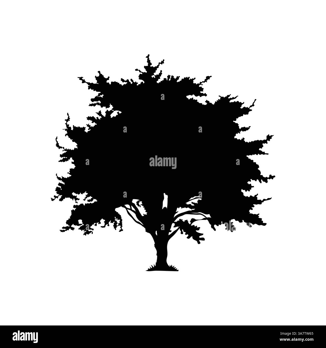 High resolution branch Stock Vector Images - Alamy