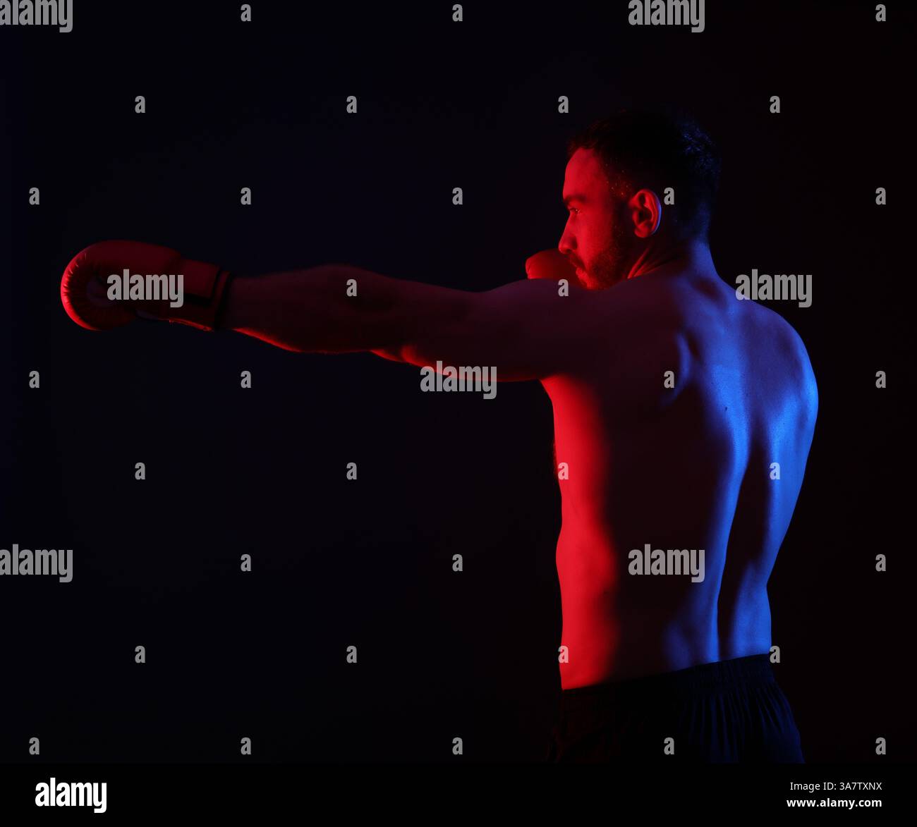 Man in boxing gloves fighting on black background in neon lights Stock ...