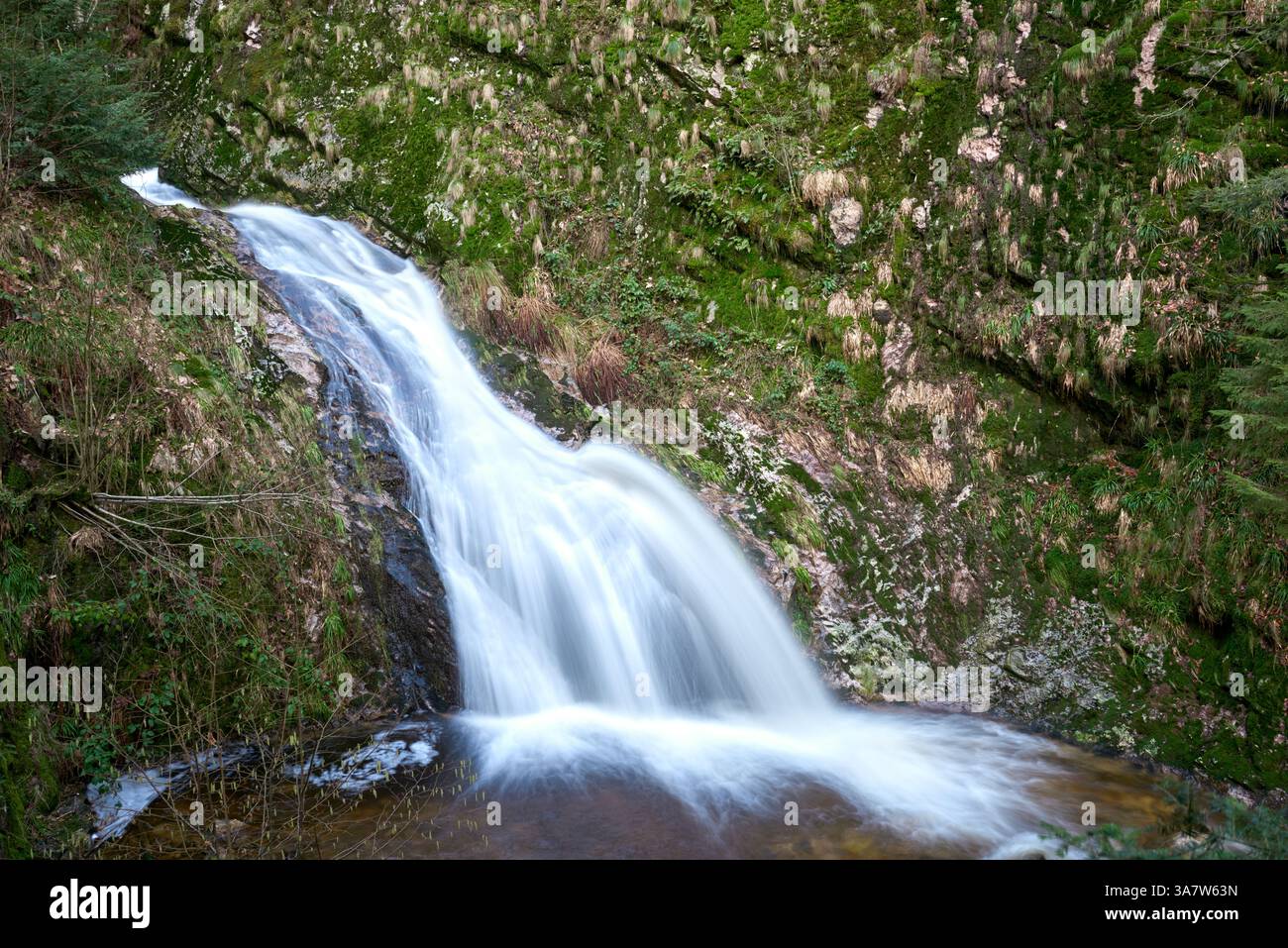 Misty Allerheiligen Waterfalls in Black Forest National Park, Germany ...