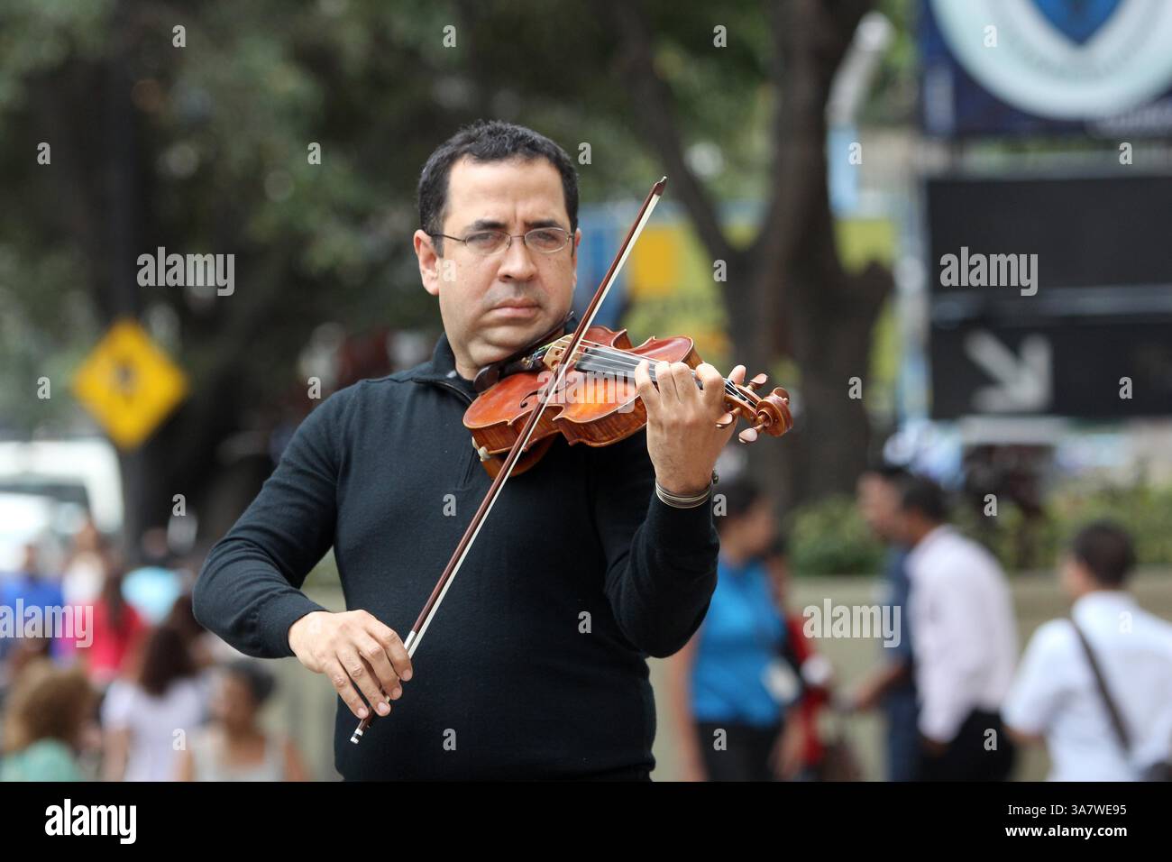 Alexandra violinista hi-res stock photography and images - Alamy