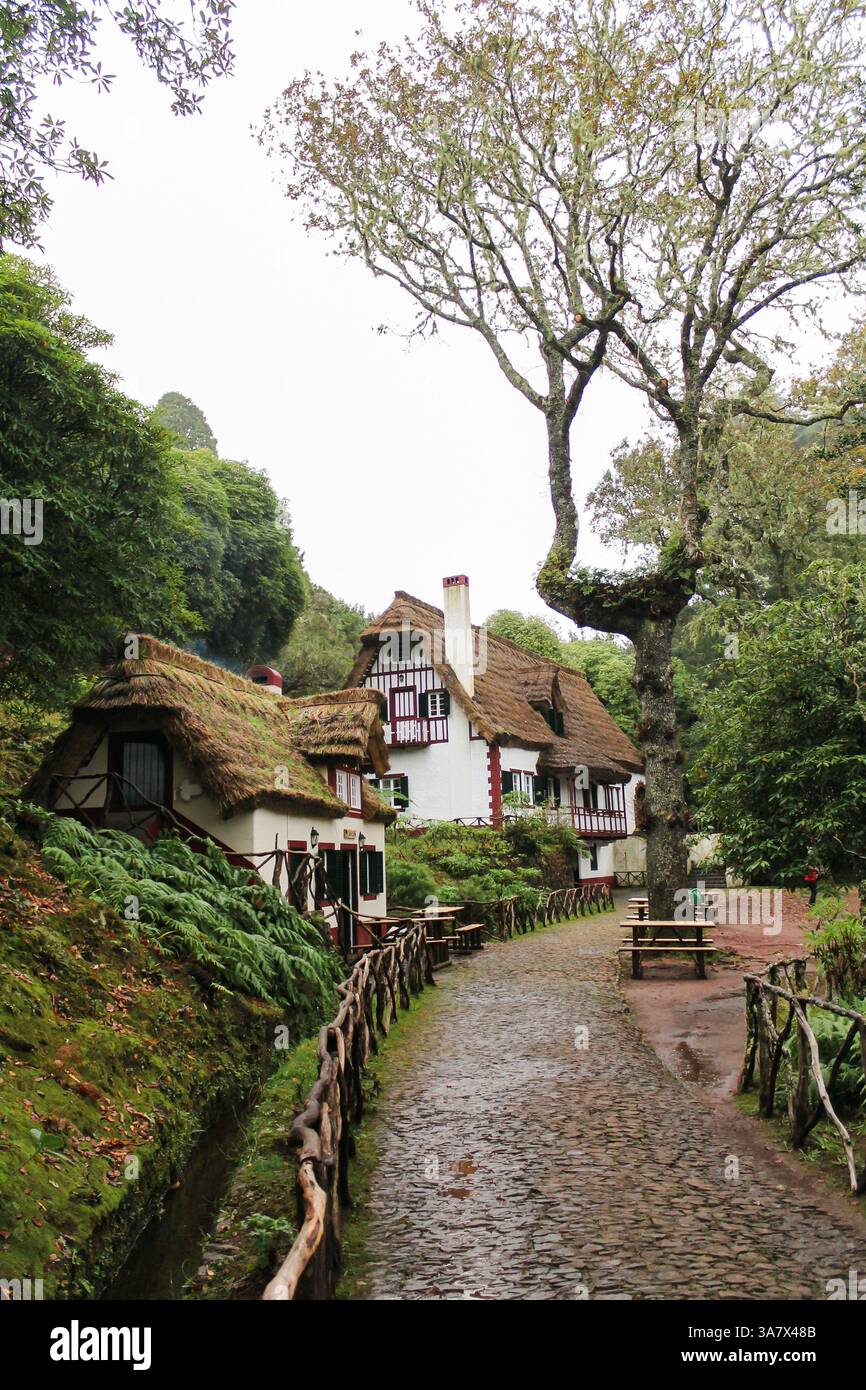 Two traditional thatched roof houses in Madeira, Portugal, with lush ...