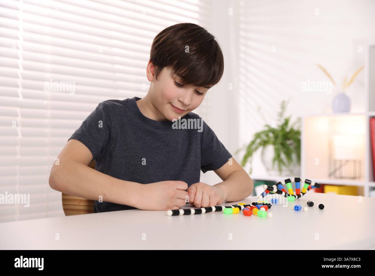 Boy making DNA structure model at desk indoors Stock Photo - Alamy