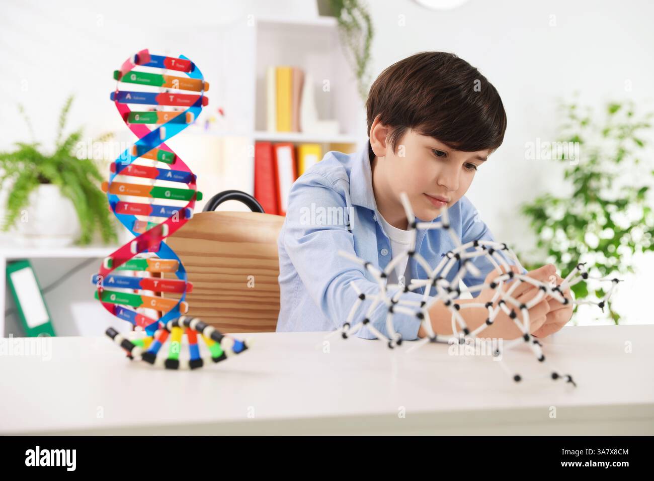 Boy making DNA structure model at desk indoors Stock Photo - Alamy